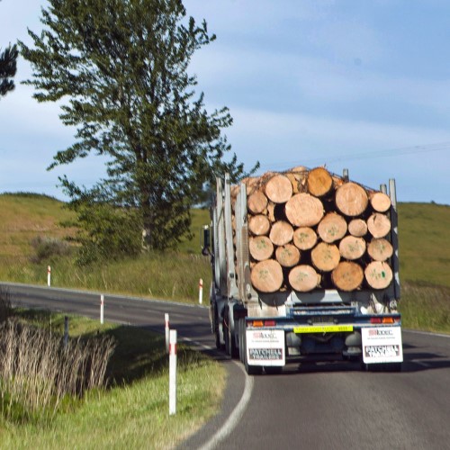 A closer look at Victor's Forest & Logging program